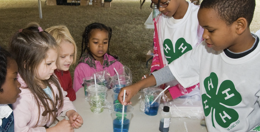 FOSS on Thinklink – Elementary Science